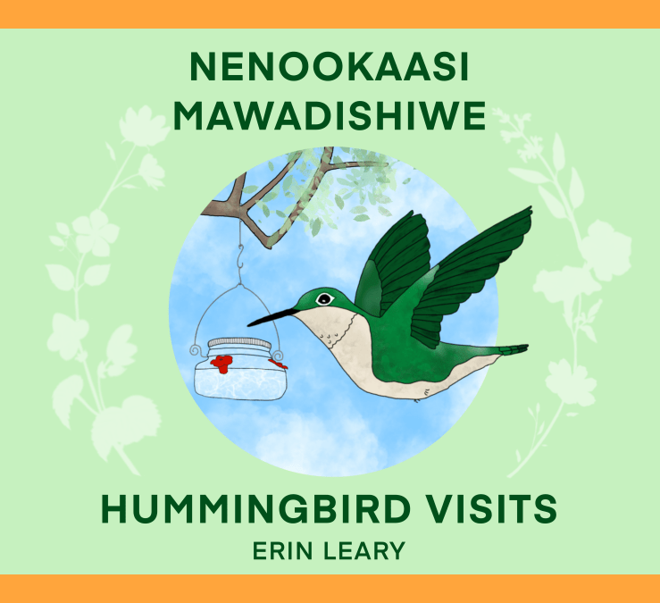 Celebrating Native American Heritage Month – Hidden Timber Books